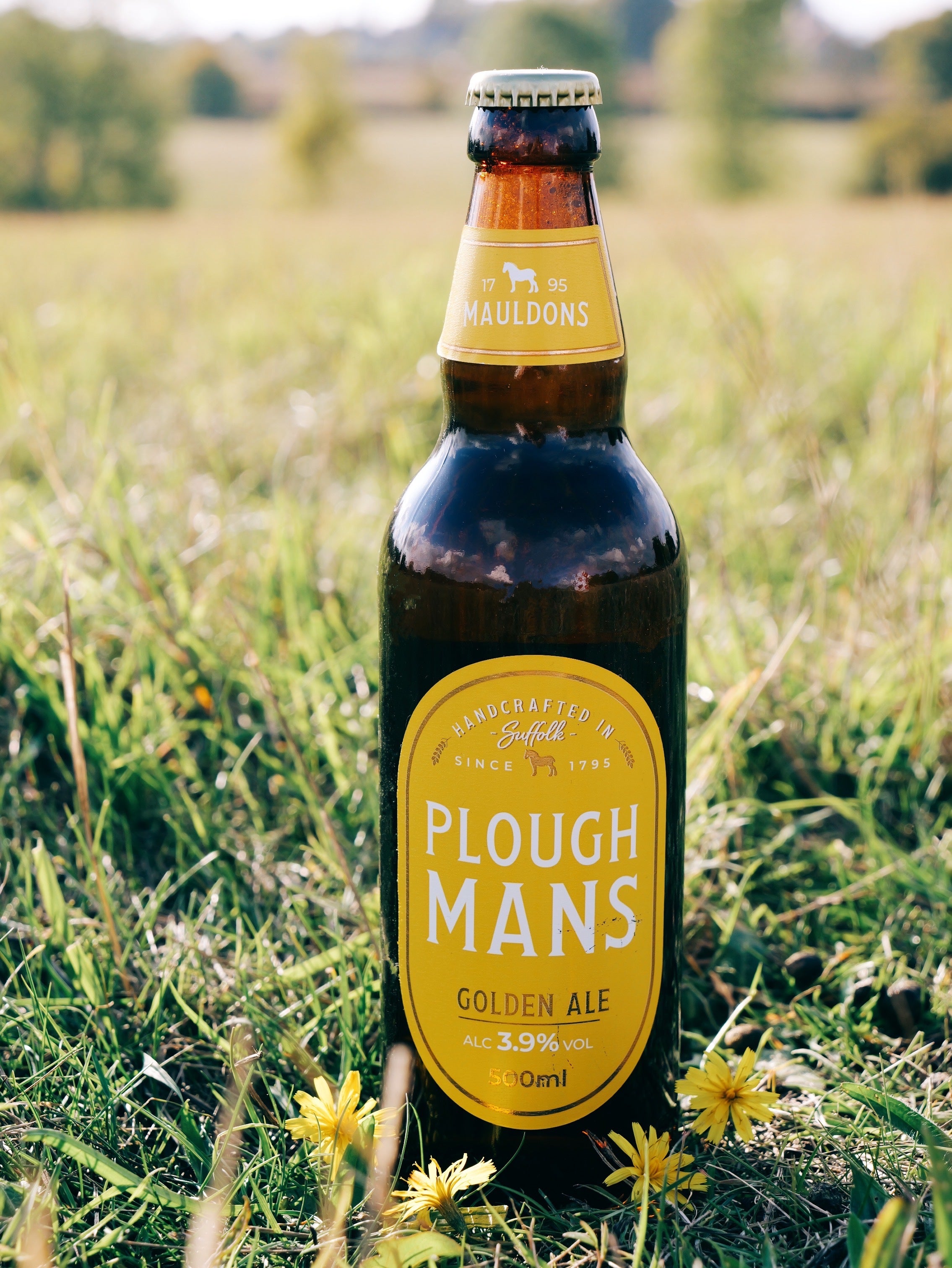 Bottled Beer – Mauldons Brewery